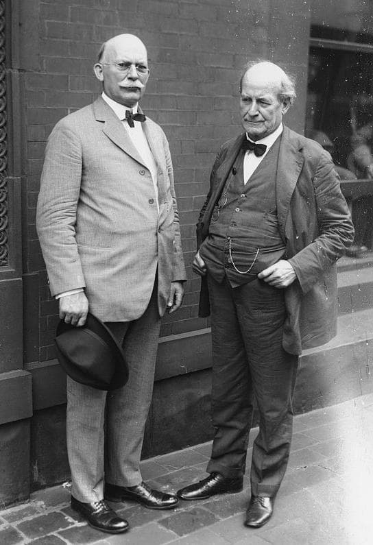 12 Surprising Facts About William Jennings Bryan