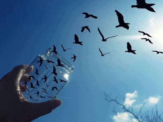 19 Clever Forced Perspective Shots That'll Play Tricks on Your Mind