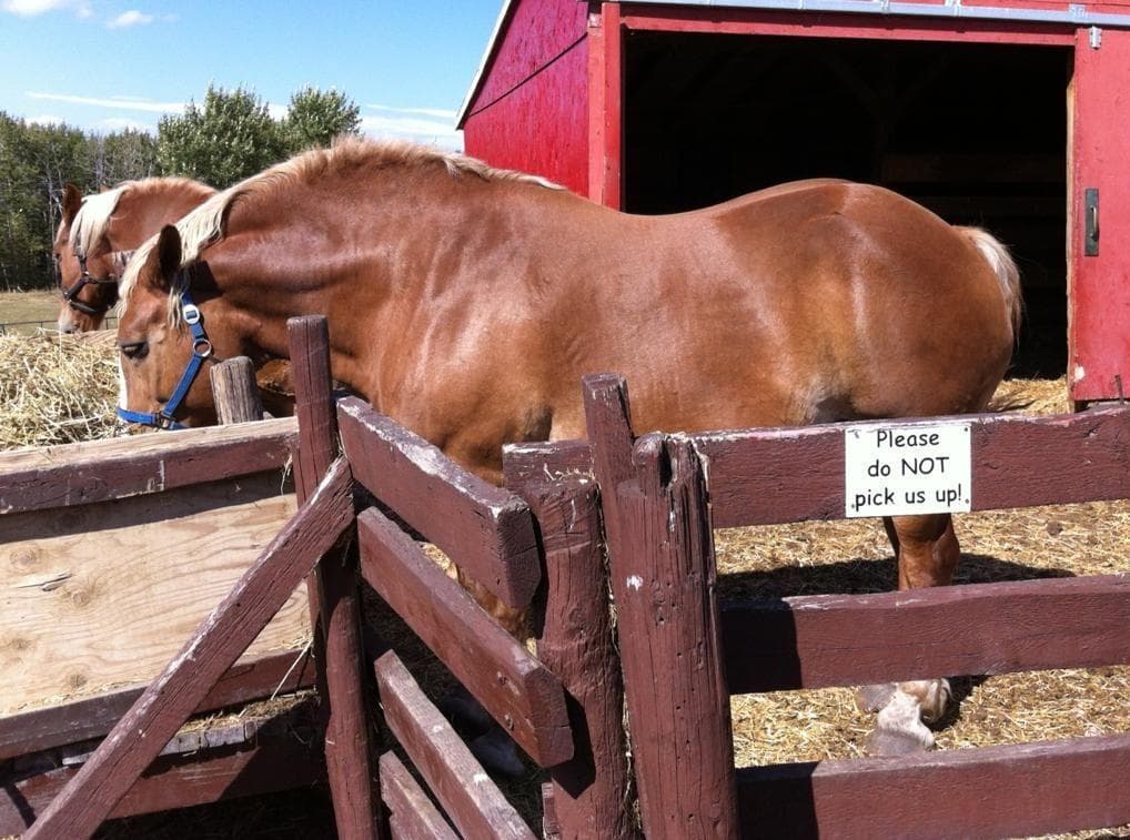 The 24 Most Unnecessary Signs Ever Made