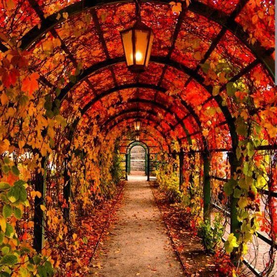 28 Beautiful Pictures of Fall Colors & Leaves from Around the World