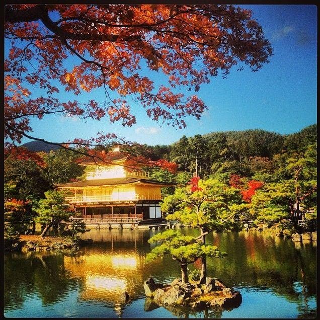 28 Beautiful Pictures of Fall Colors & Leaves from Around the World