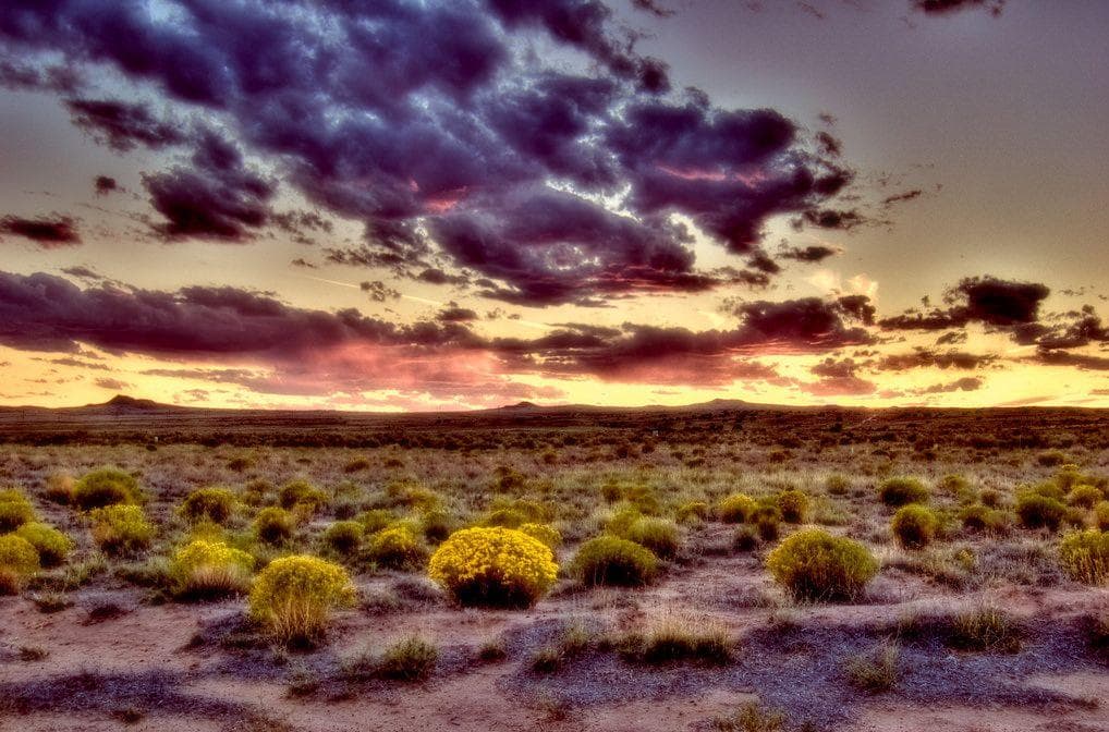 28 Beautiful Pictures of Fall Colors & Leaves from Around the World