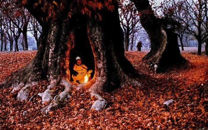 28 Beautiful Pictures of Fall Colors & Leaves from Around the World