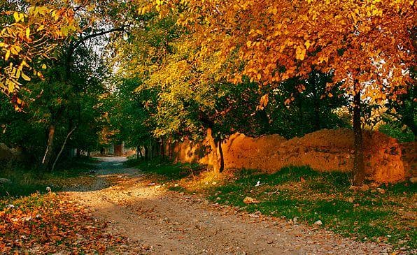 28 Beautiful Pictures of Fall Colors & Leaves from Around the World