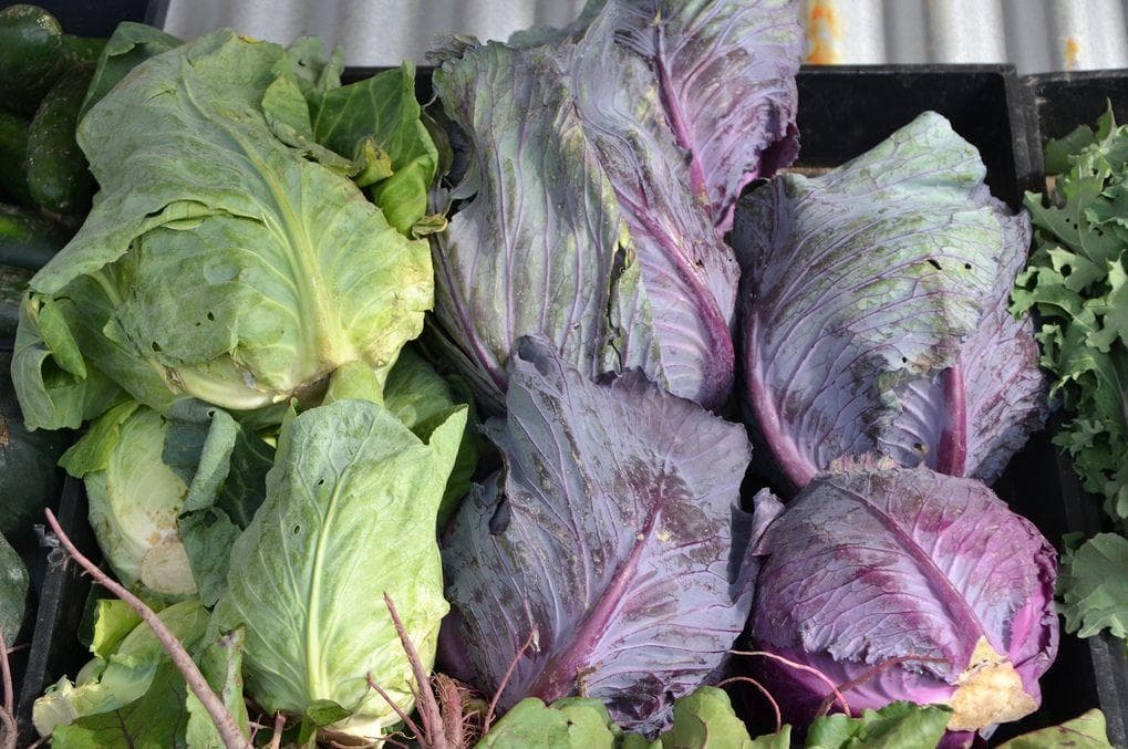 11 Popular Halloween Pranks and How They Came to Be