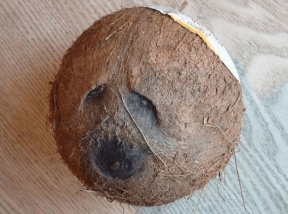 23 Sad Looking Foods That Need Cheering Up