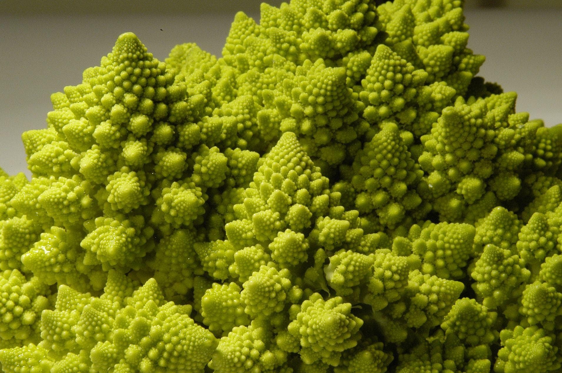 15 Crazy Instances of Self-Similarity in Nature