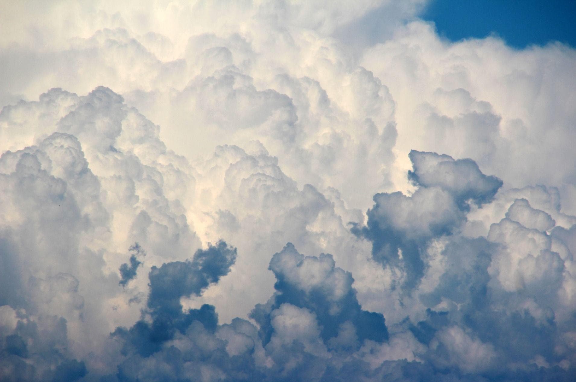 15 Crazy Instances of Self-Similarity in Nature