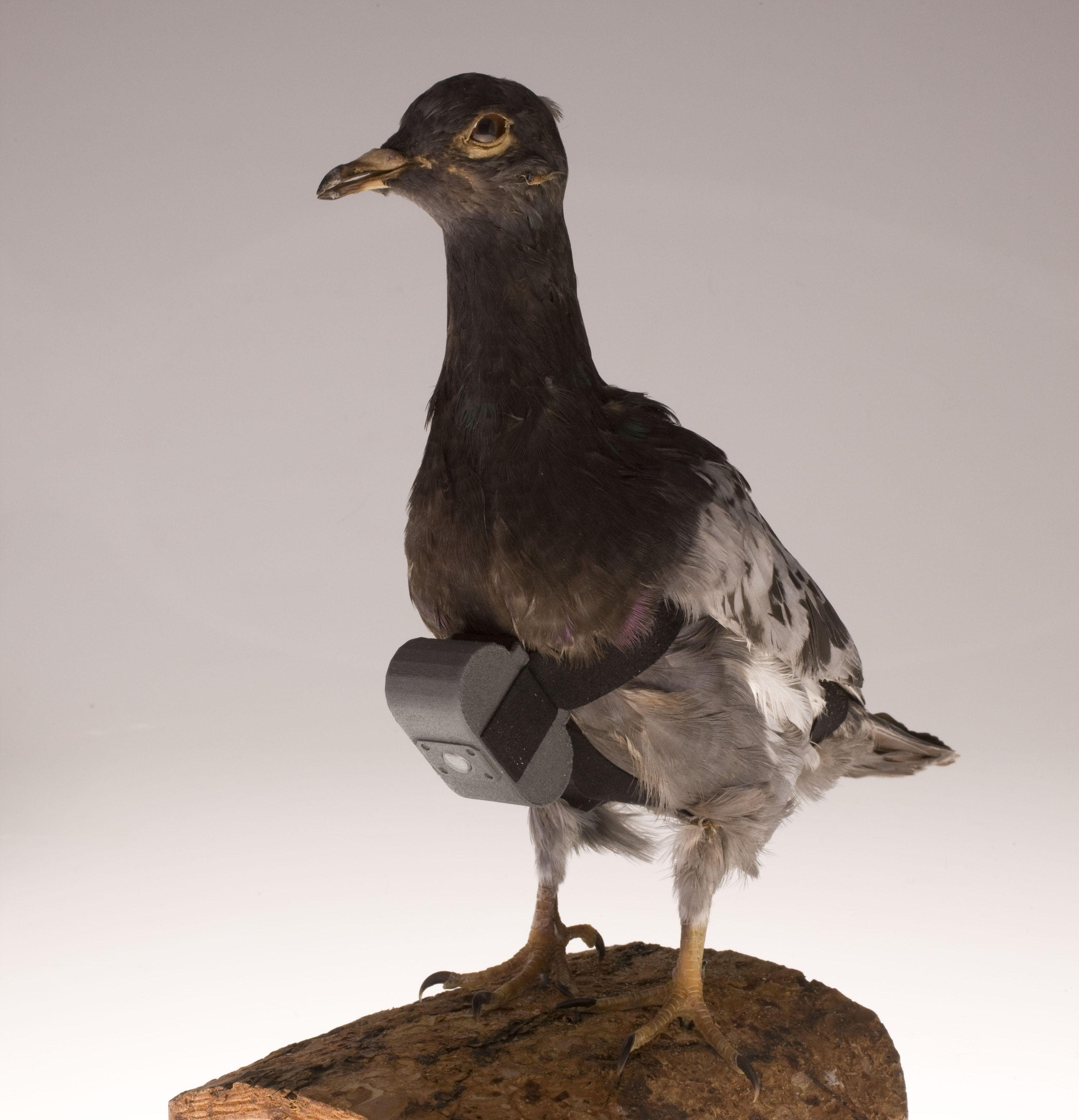 The Coolest Old Spy Tech from Before Computers and the Internet