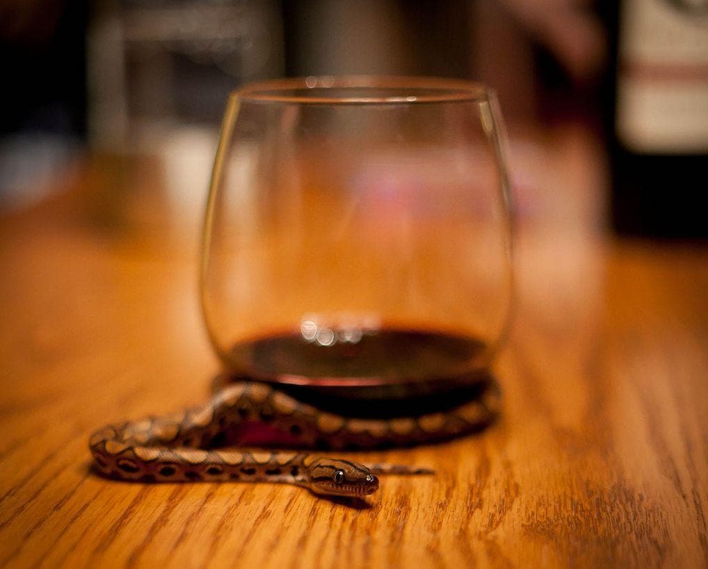 16 Weird Ways People Eat Blood Around the World