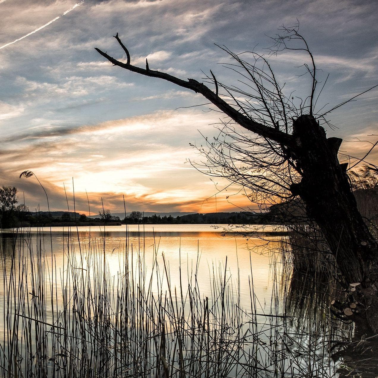 Kansas Urban Legends & Scariest Stories: There's No Place Like Home?