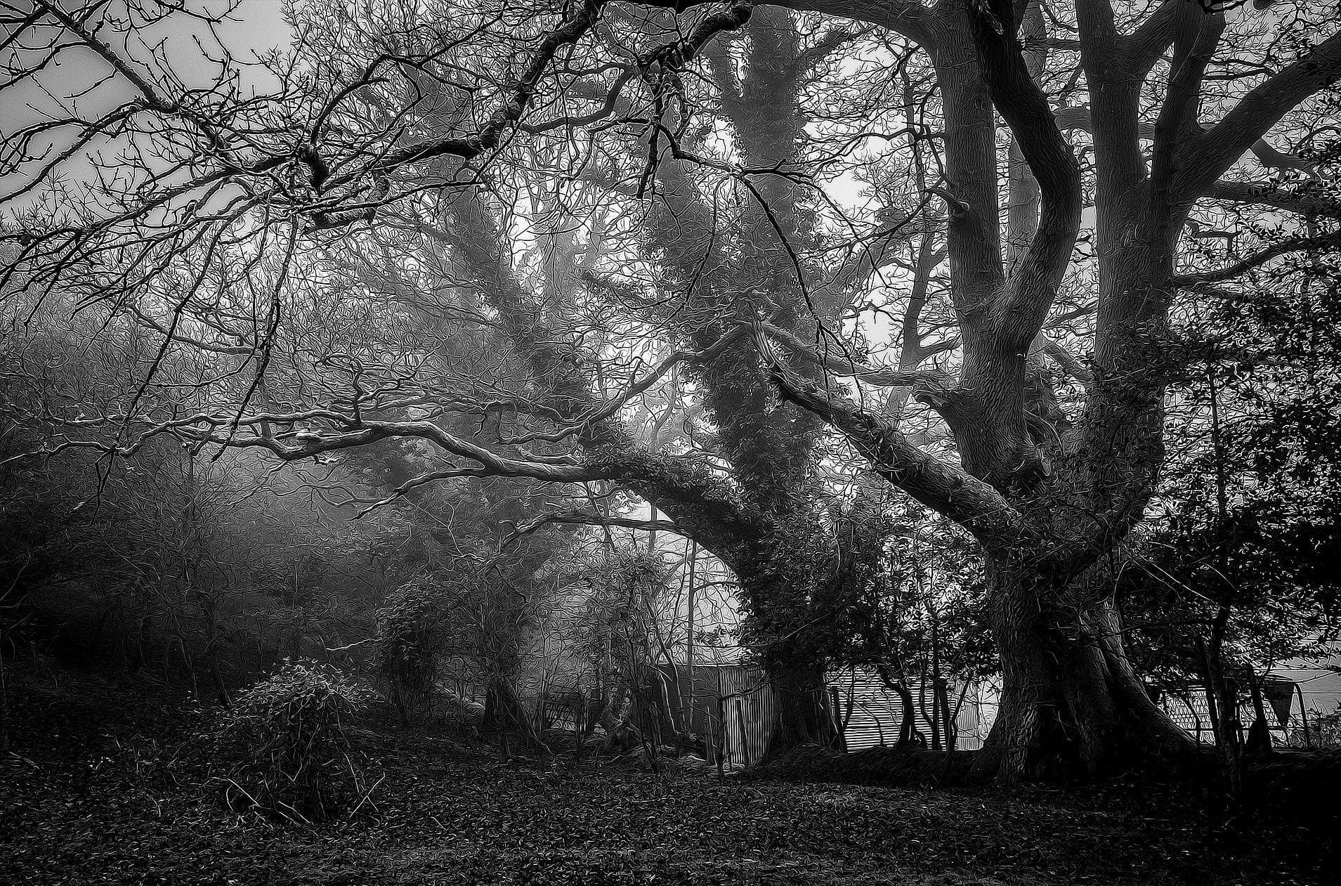 12 Scary Stories And Urban Legends From Massachusetts