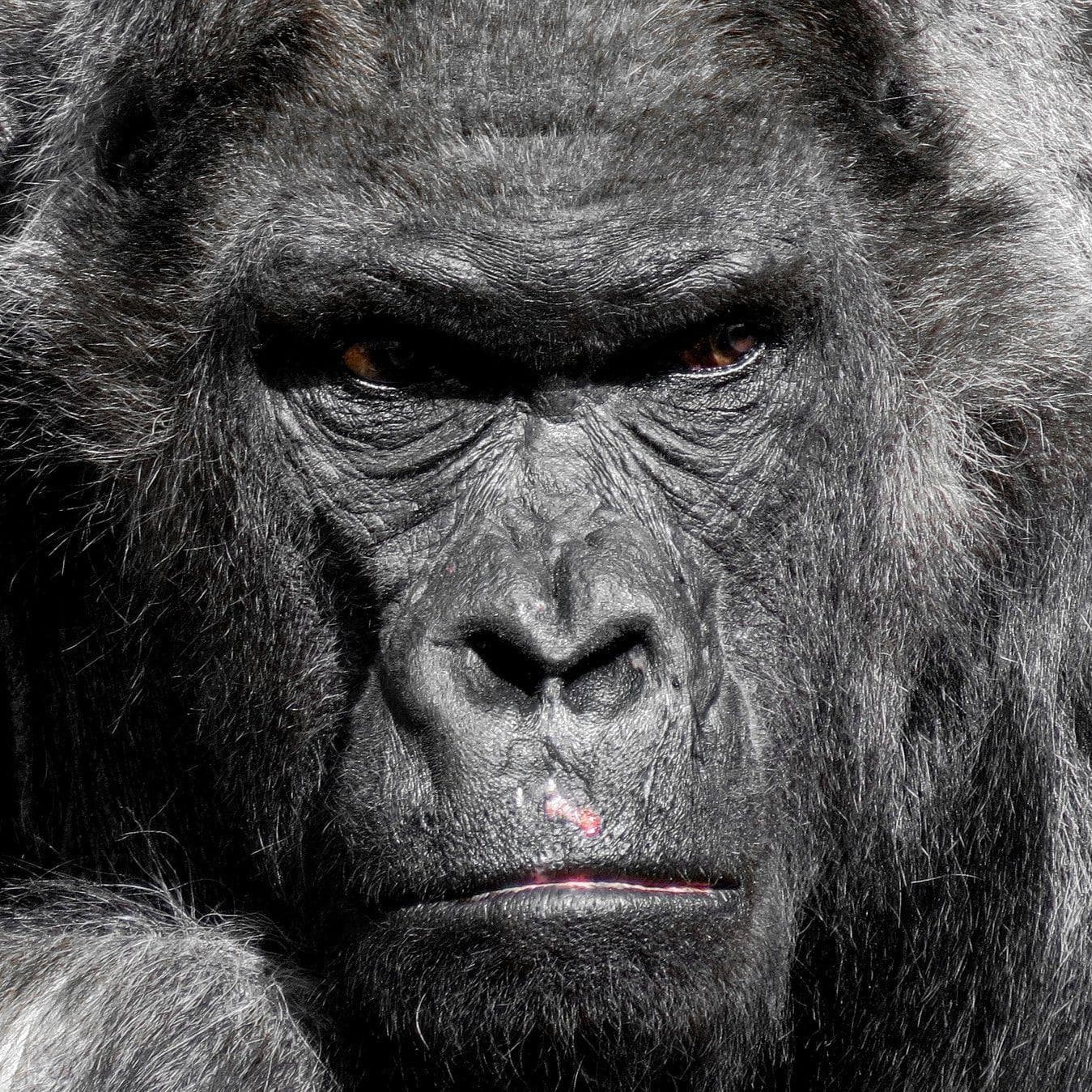 The Scariest Stories And Legends From Missouri