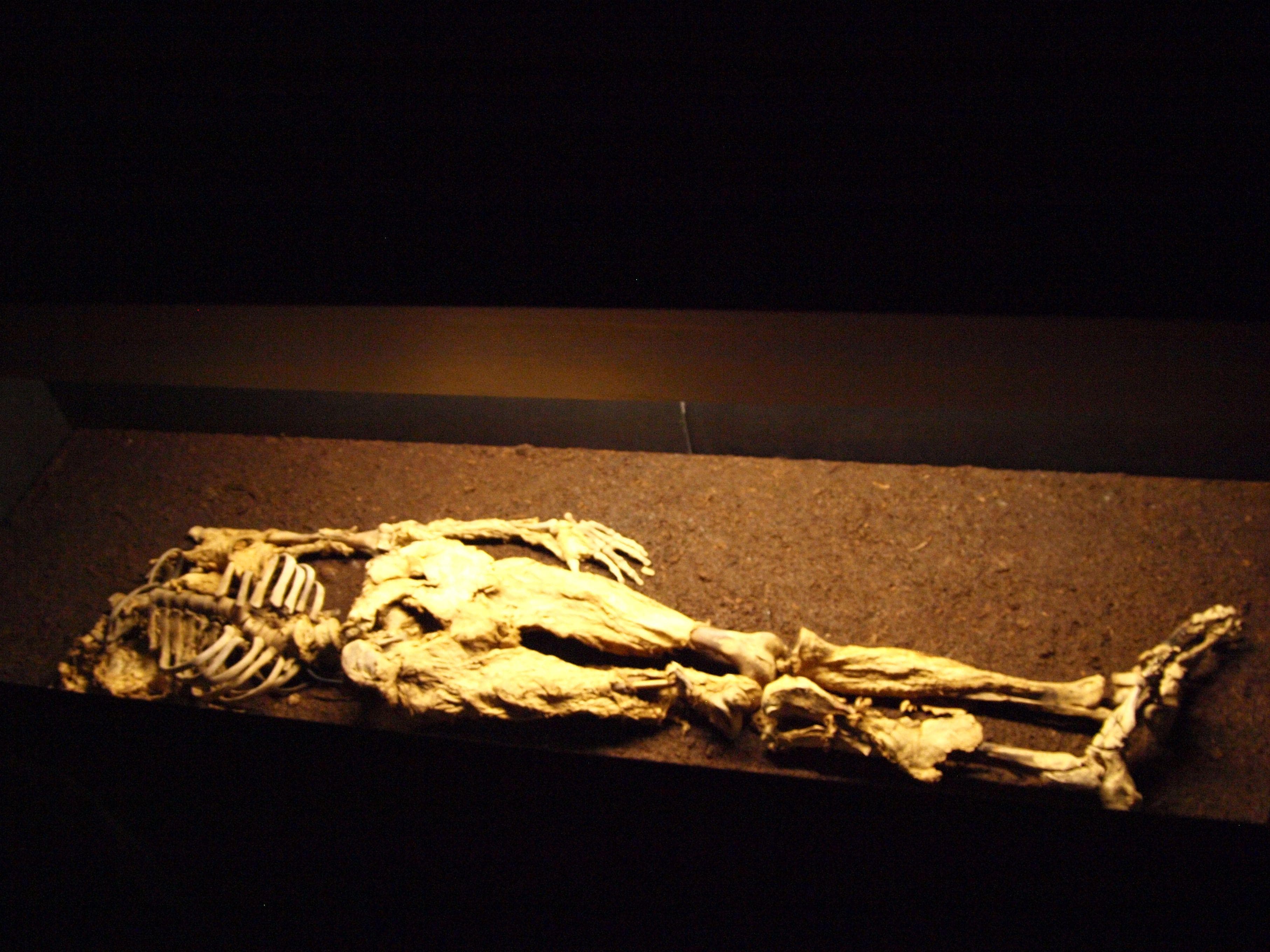 14 Strange And Gruesome Facts About Bog Bodies