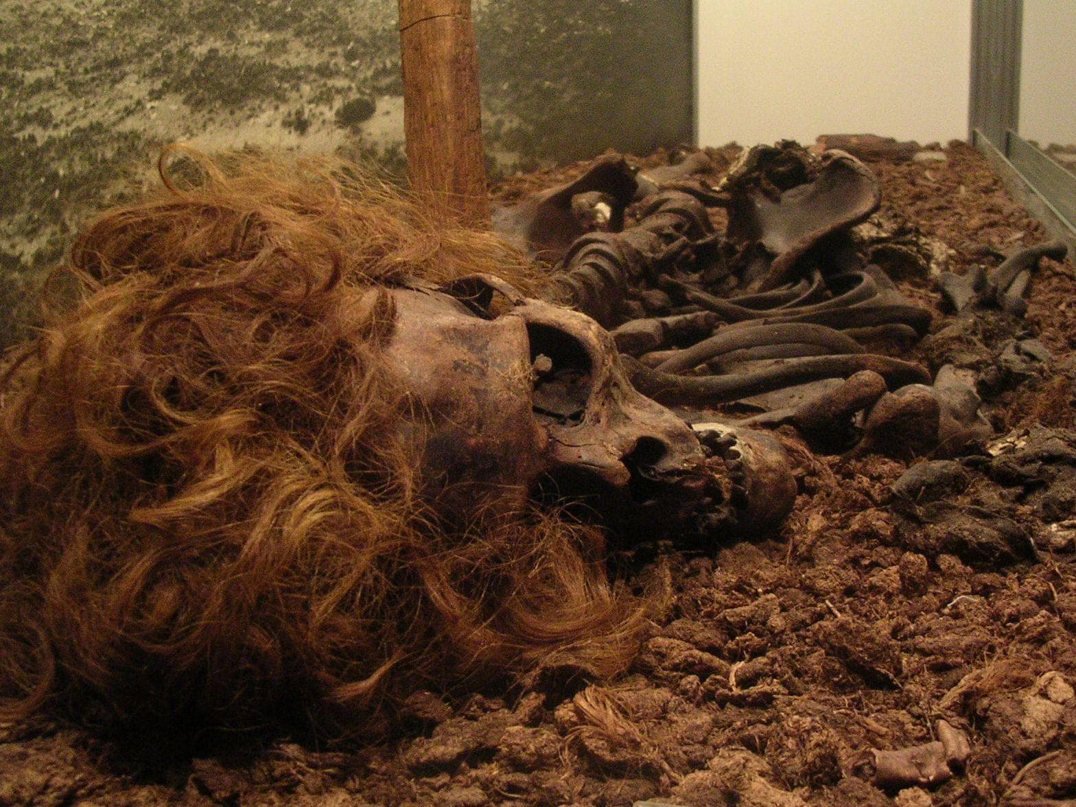 14 Strange And Gruesome Facts About Bog Bodies