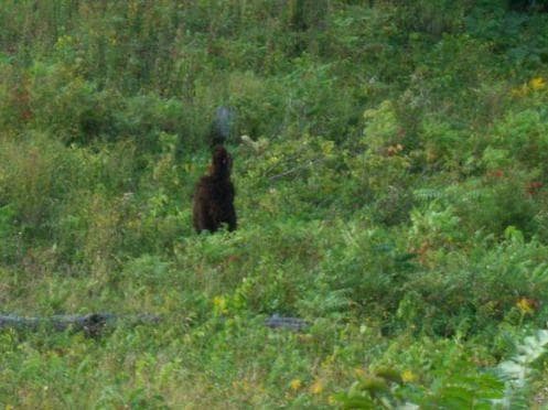 12 Creepy Stories and Urban Legends About Ohio