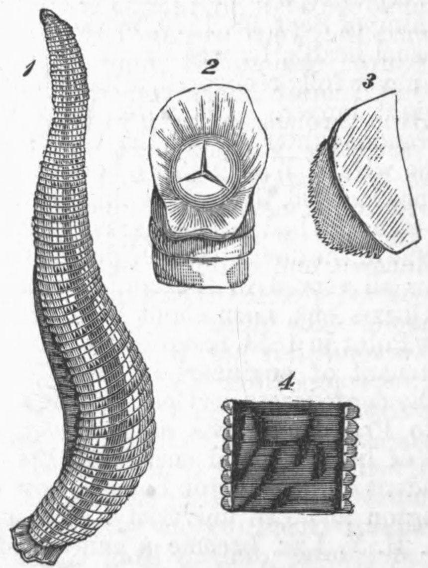 Craziest Victorian-Era Occupations