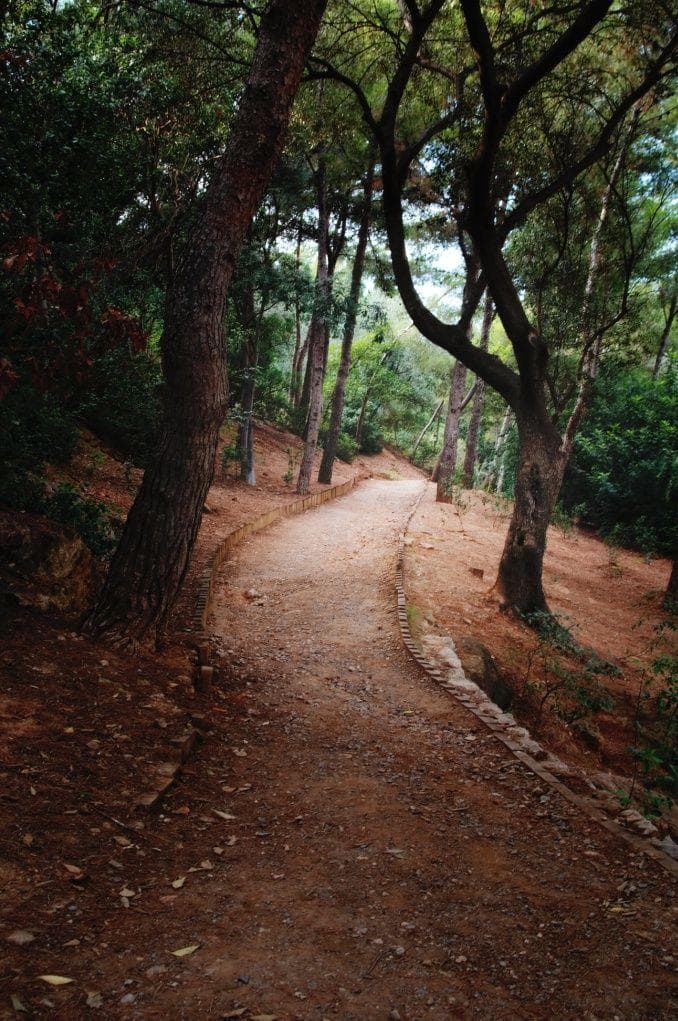 14 Hidden Cemeteries in the Northeast United States