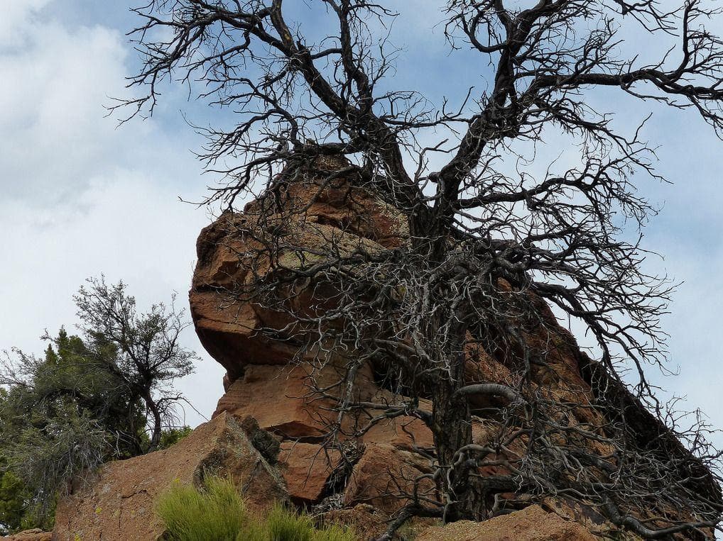 10 Creepy Stories and Urban Legends from Utah