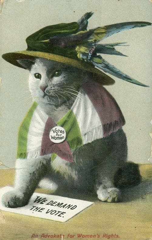 Suffragette Postcards