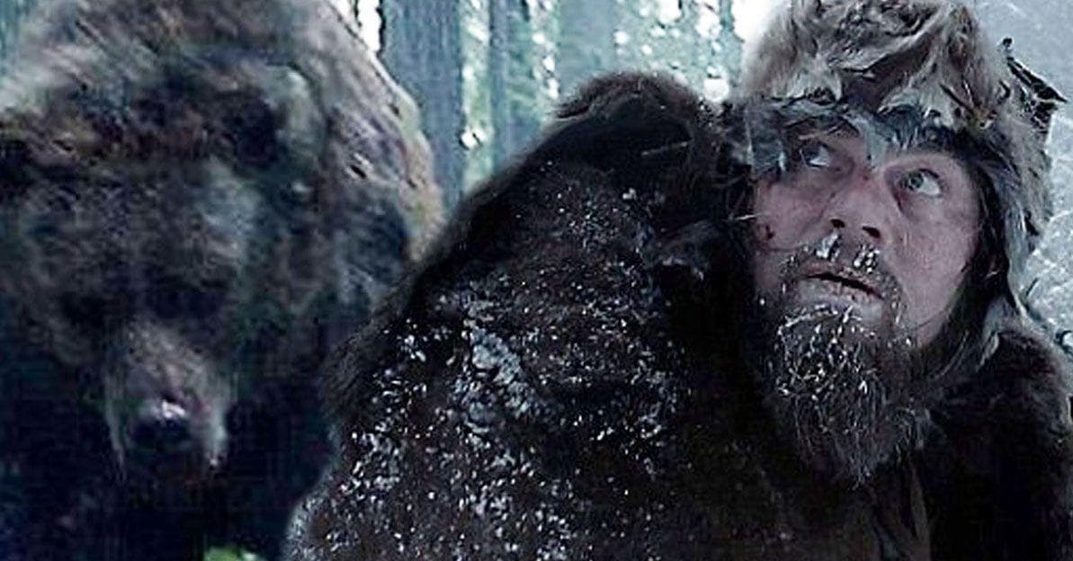 What It's Like to Be Mauled By a Bear: How Bears Attack