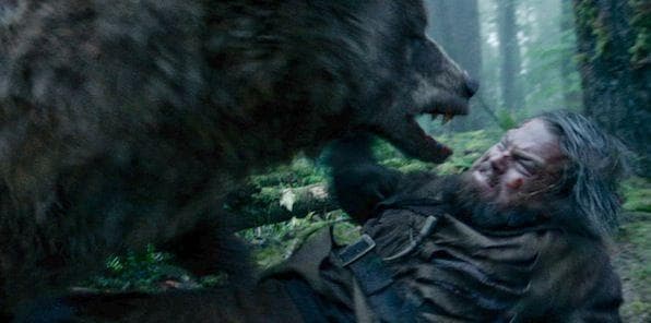 What It's Like to Be Mauled By a Bear: How Bears Attack