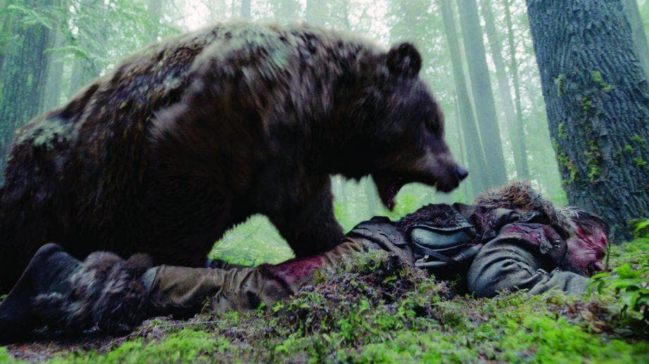 What It's Like to Be Mauled By a Bear: How Bears Attack
