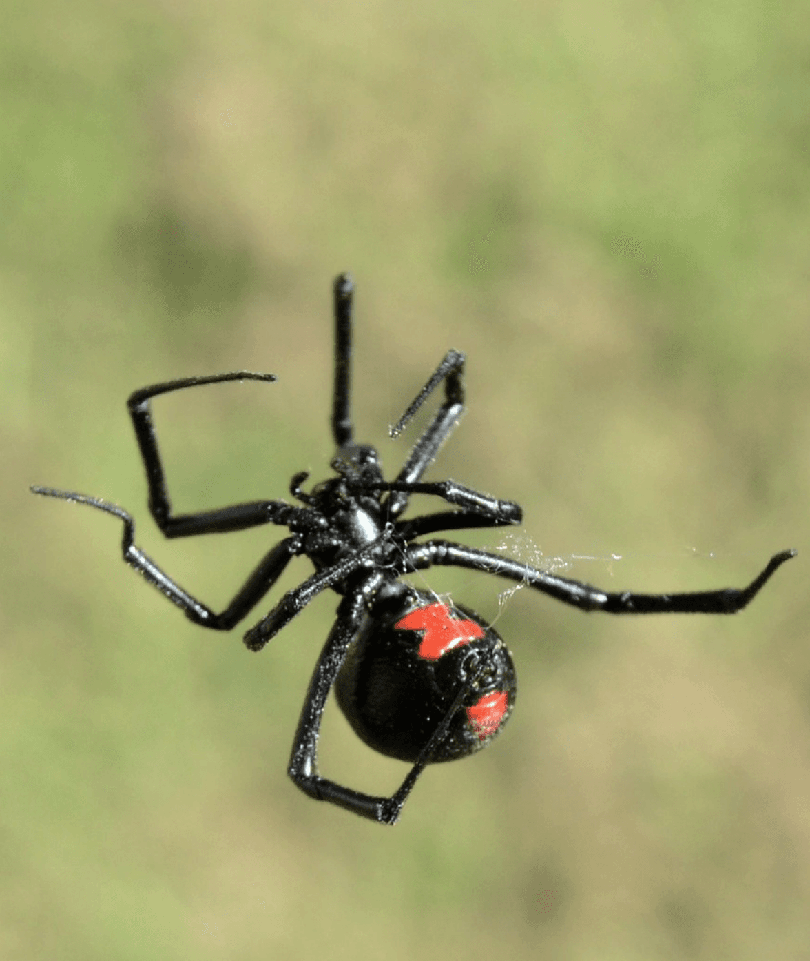 12 Terrifying Criminals on Death Row You've Never Even Heard Of