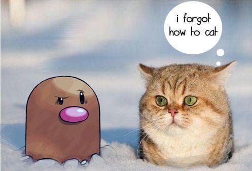 13 Hilarious Diglett & Dugtrio Pictures That Attempt to Explain Him