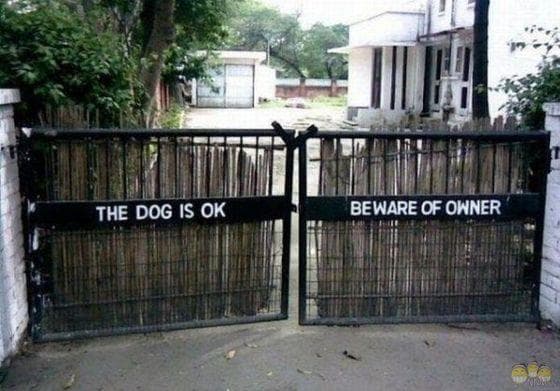25 Funny Dog Warning Signs That Would Scare Any Intruder