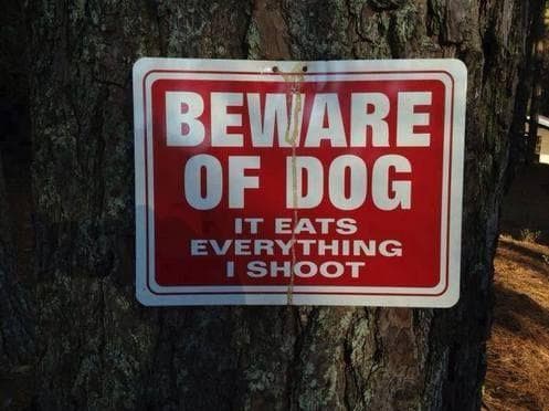 25 Funny Dog Warning Signs That Would Scare Any Intruder