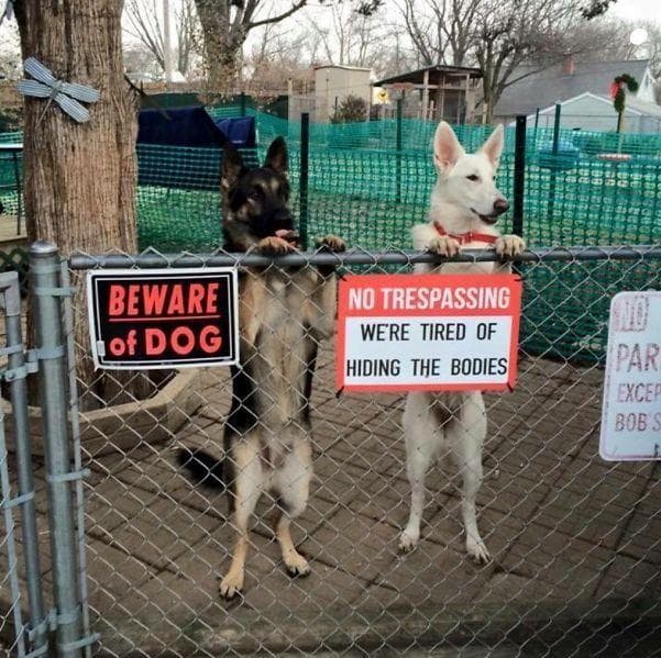 25 Funny Dog Warning Signs That Would Scare Any Intruder