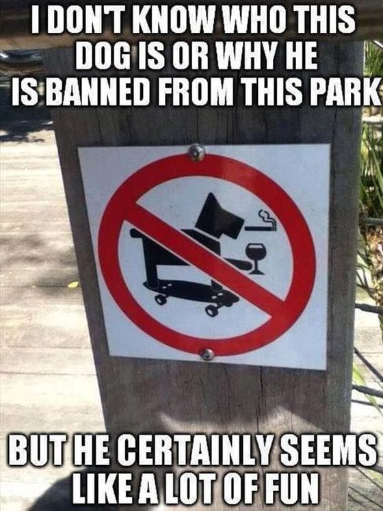 25 Funny Dog Warning Signs That Would Scare Any Intruder