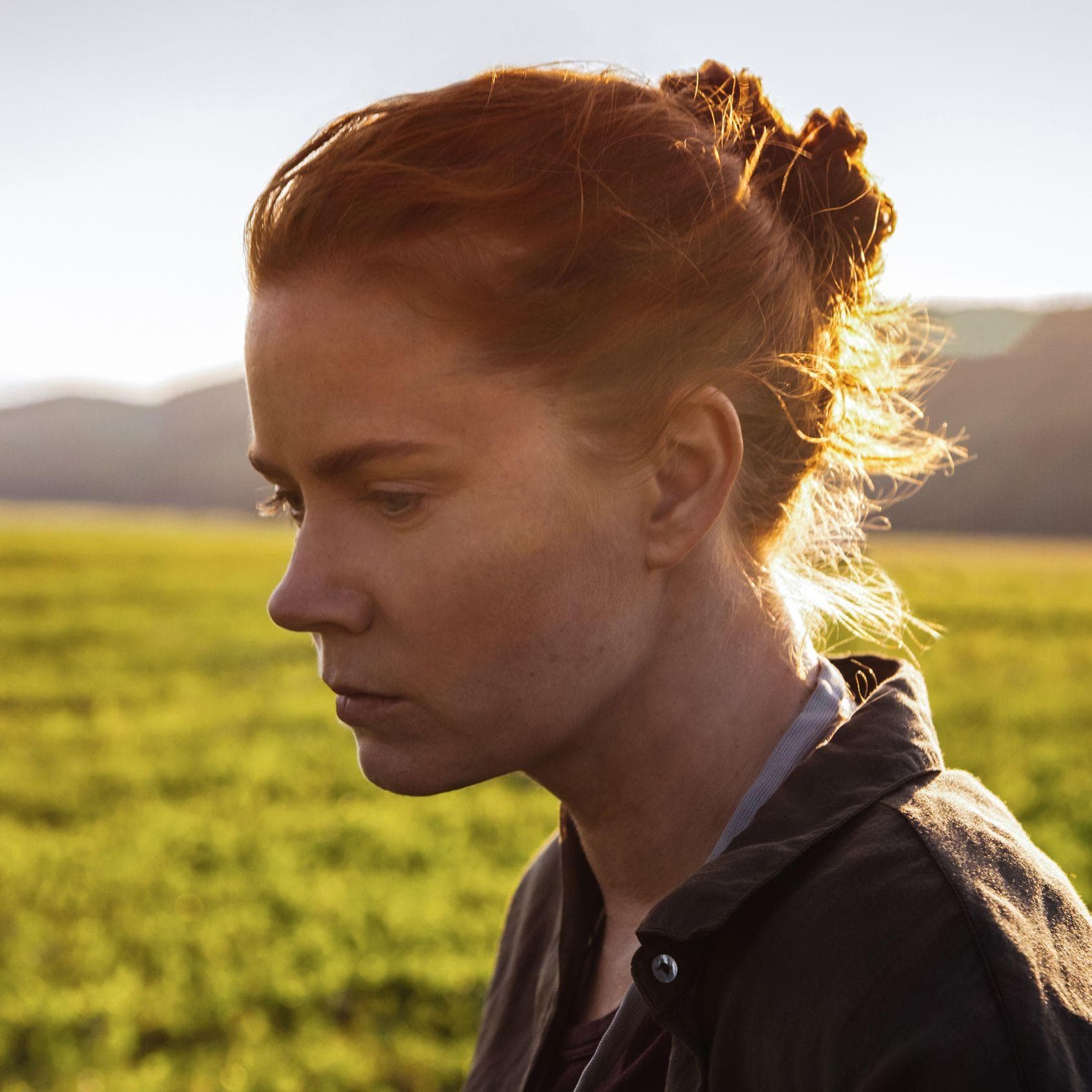 Arrival Movie Quotes