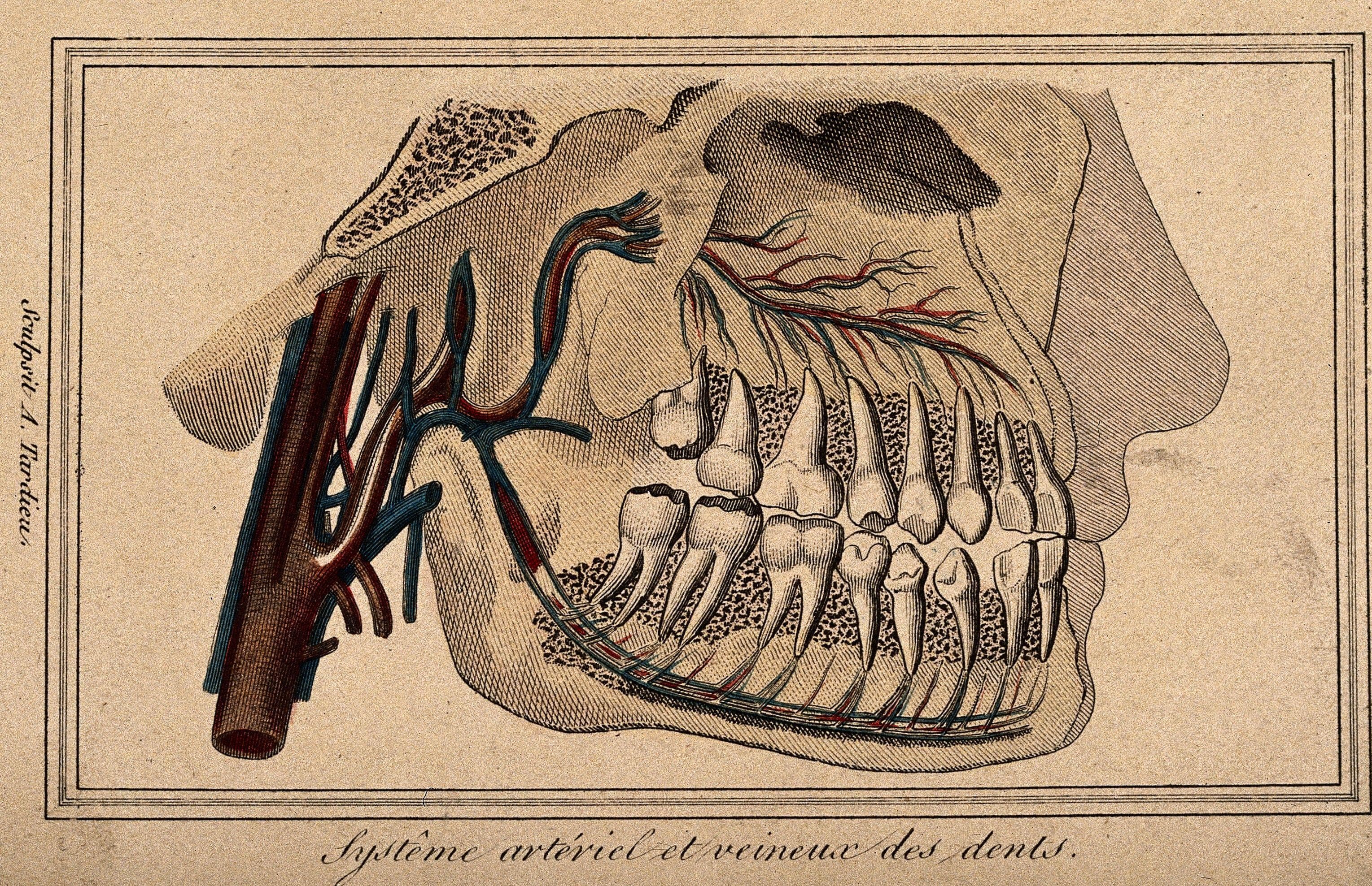 Primally Disgusting Monuments From Around The World