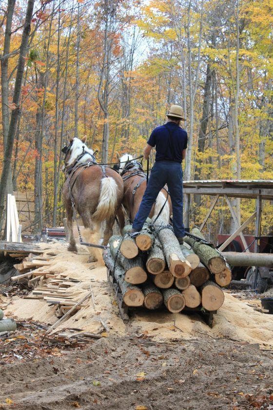 Hot Amish Dudes You’d Like to Take Behind the Barn