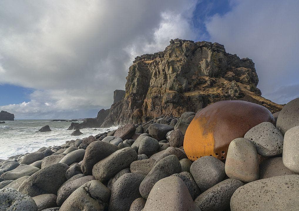 The 12 Weirdest Things People Have Actually Eaten