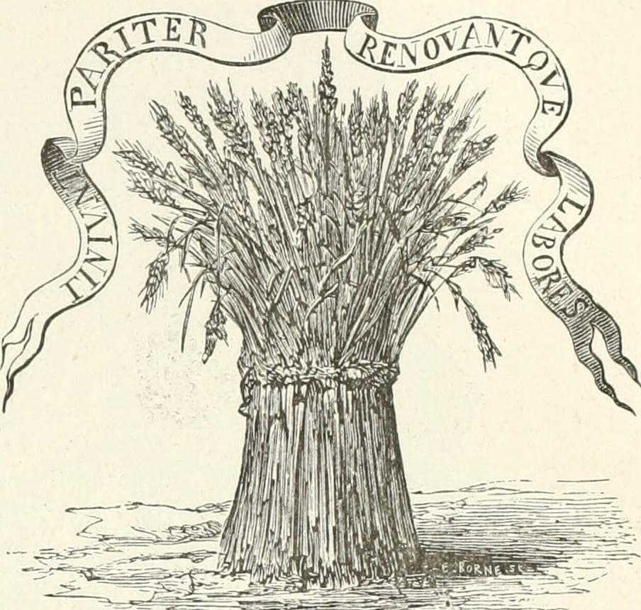 15 Common Freemason Symbols You've Never Noticed Before