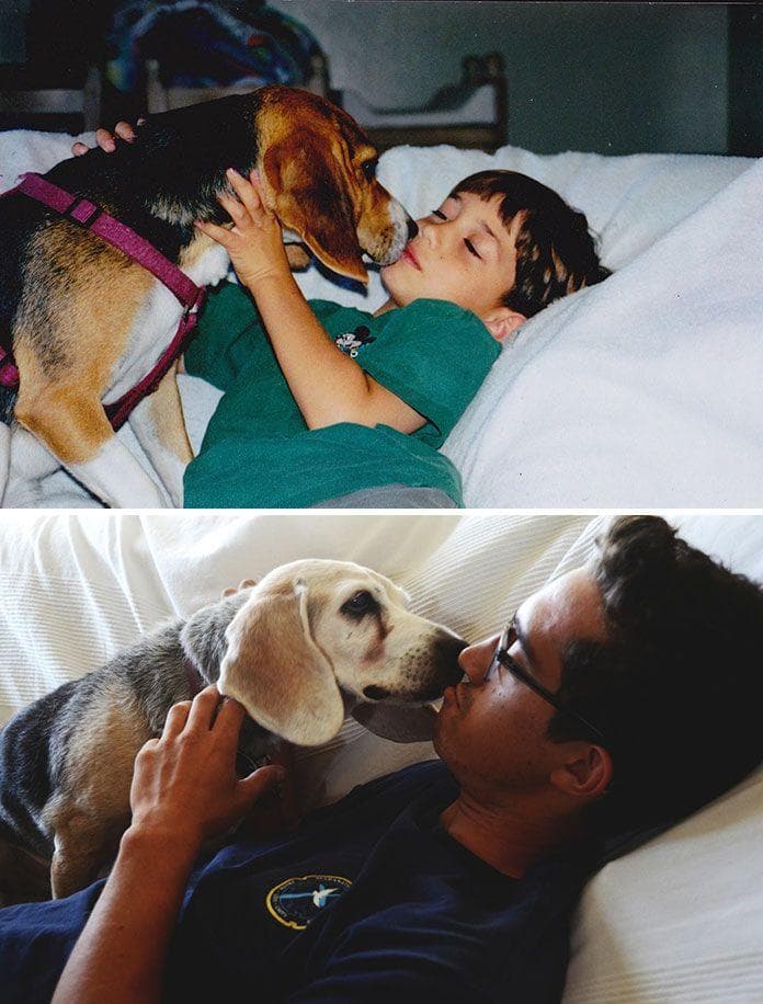 28 Adorable Photos of Dogs Growing Up With Their Humans