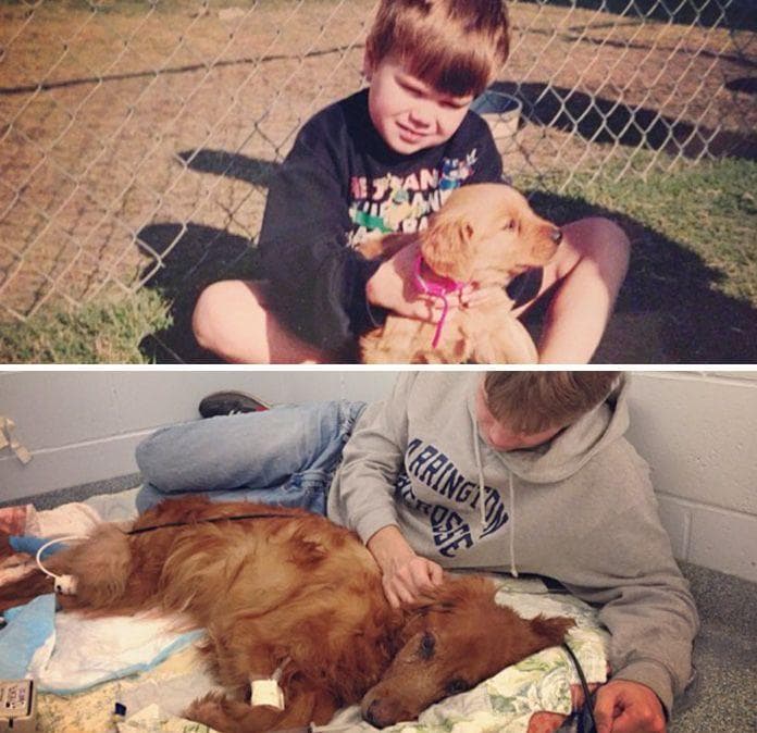 28 Adorable Photos of Dogs Growing Up With Their Humans