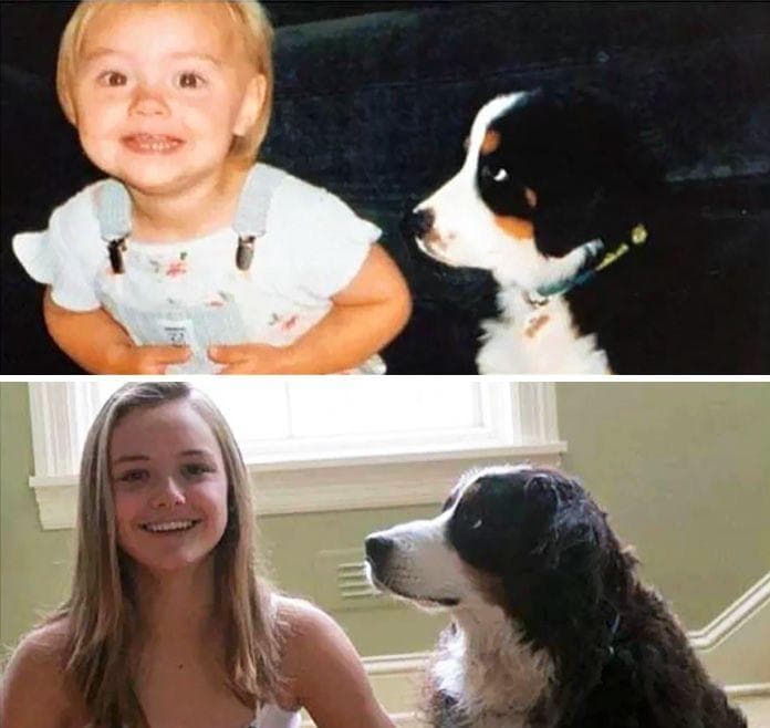 28 Adorable Photos of Dogs Growing Up With Their Humans