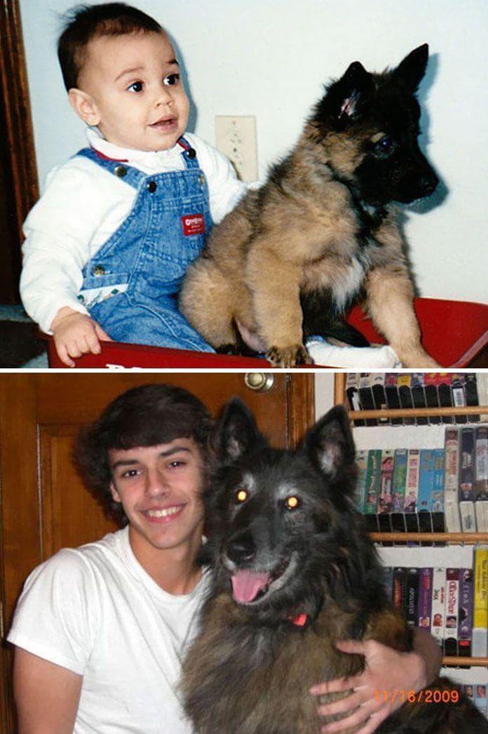 28 Adorable Photos of Dogs Growing Up With Their Humans
