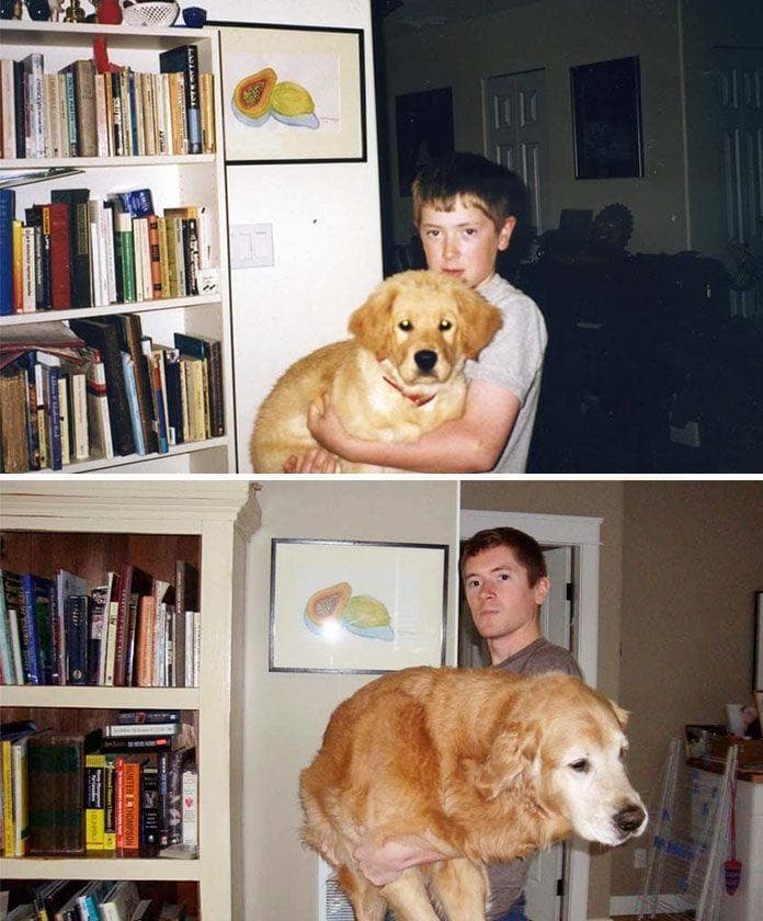 28 Adorable Photos of Dogs Growing Up With Their Humans