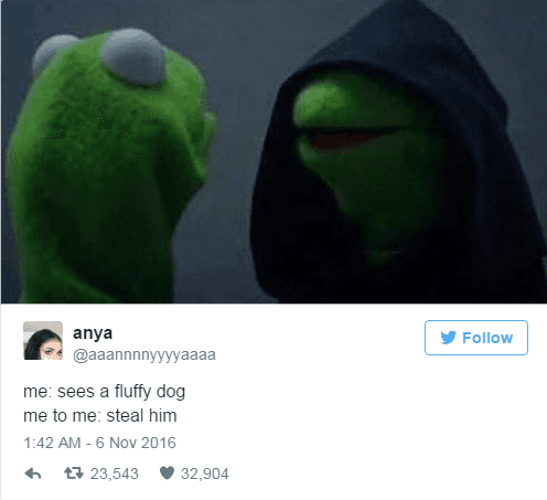 30+ Funny Evil Kermit Memes That'll Make Your Dark Side Happy