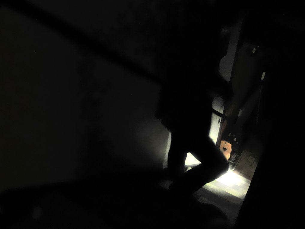 10 Terrifying Facts About Edward Paisnel, the Beast of Jersey