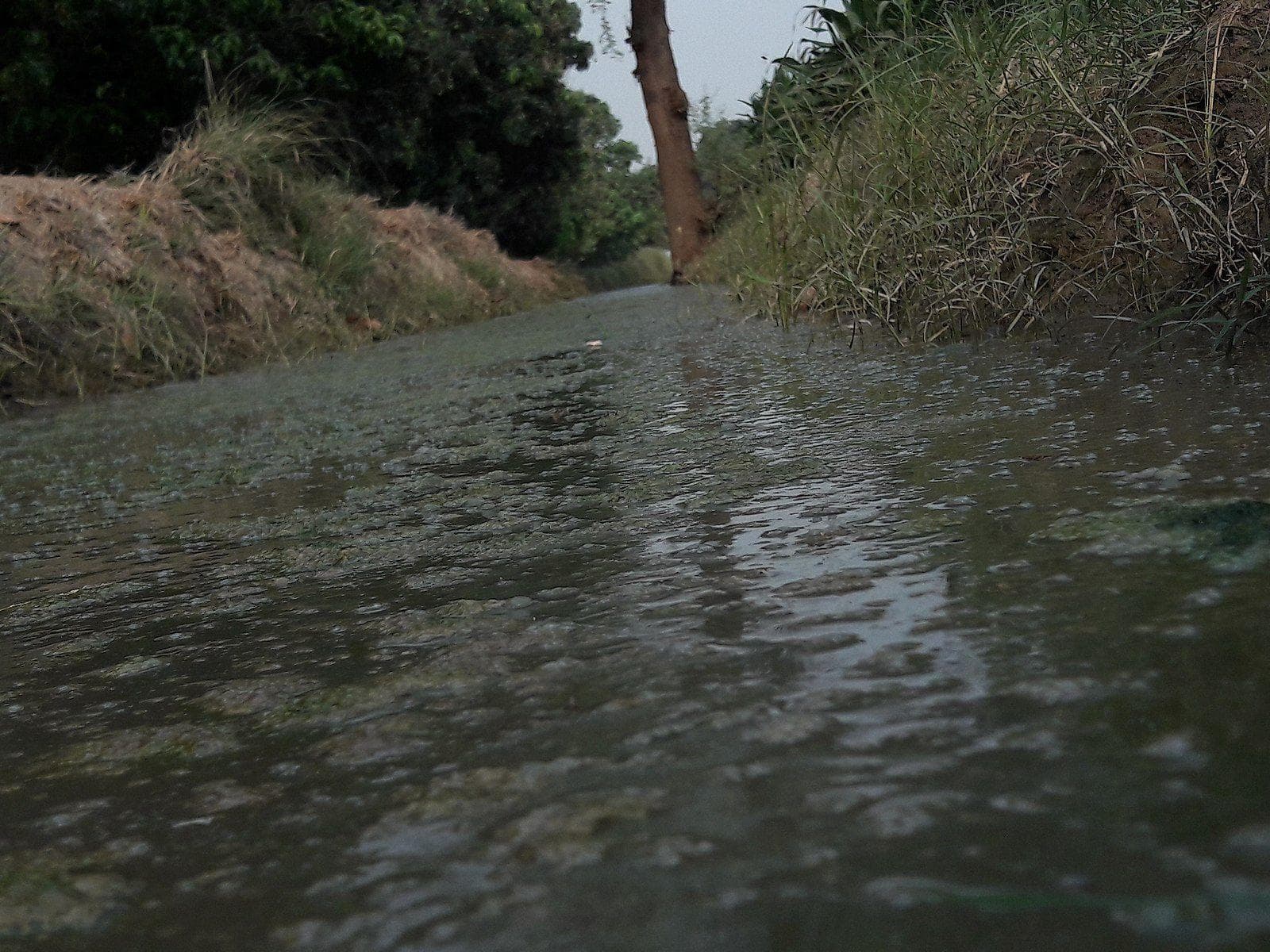 What Happens to a Body That Decomposes Underwater