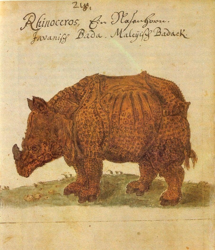 28 Weird Medieval Drawings of Animals That Were Way Off