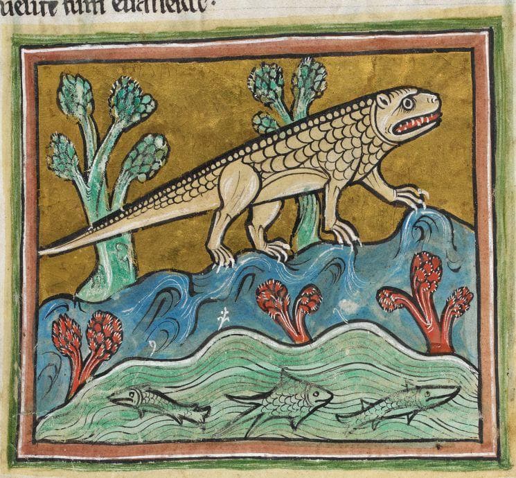 28 Weird Medieval Drawings of Animals That Were Way Off