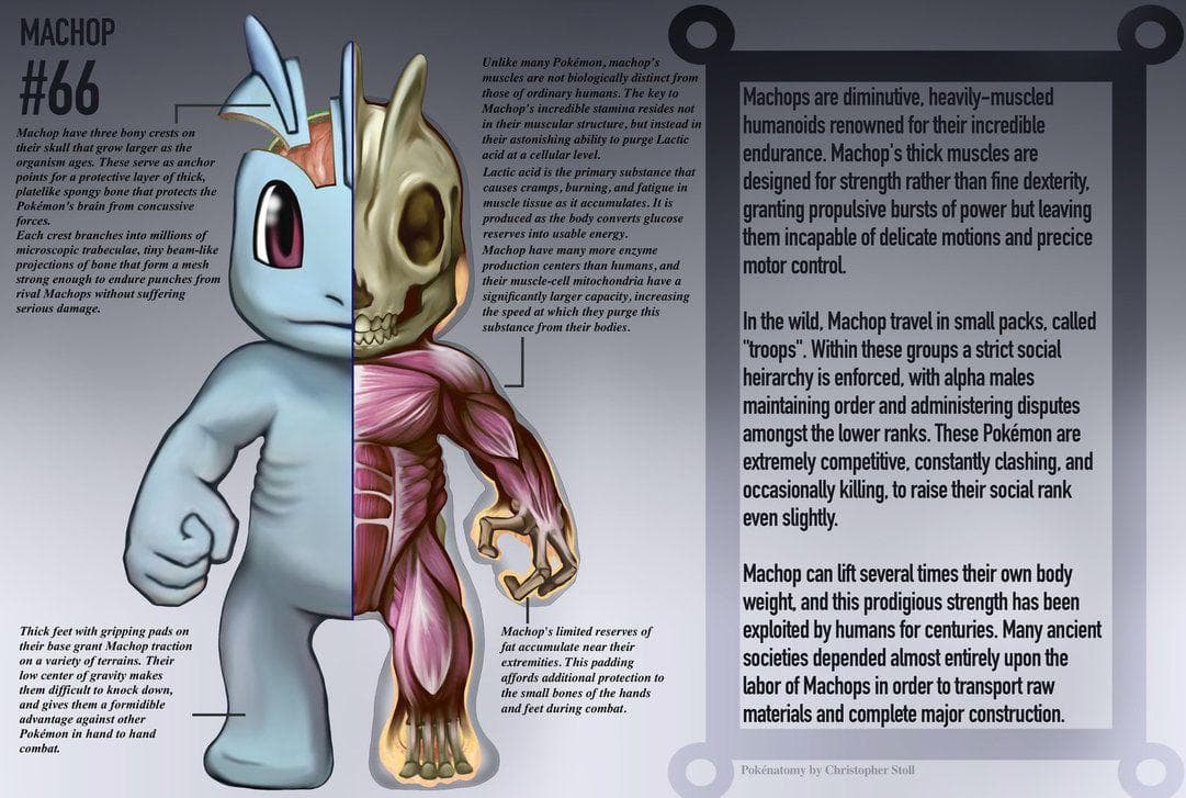 Pokemon Human Forms List