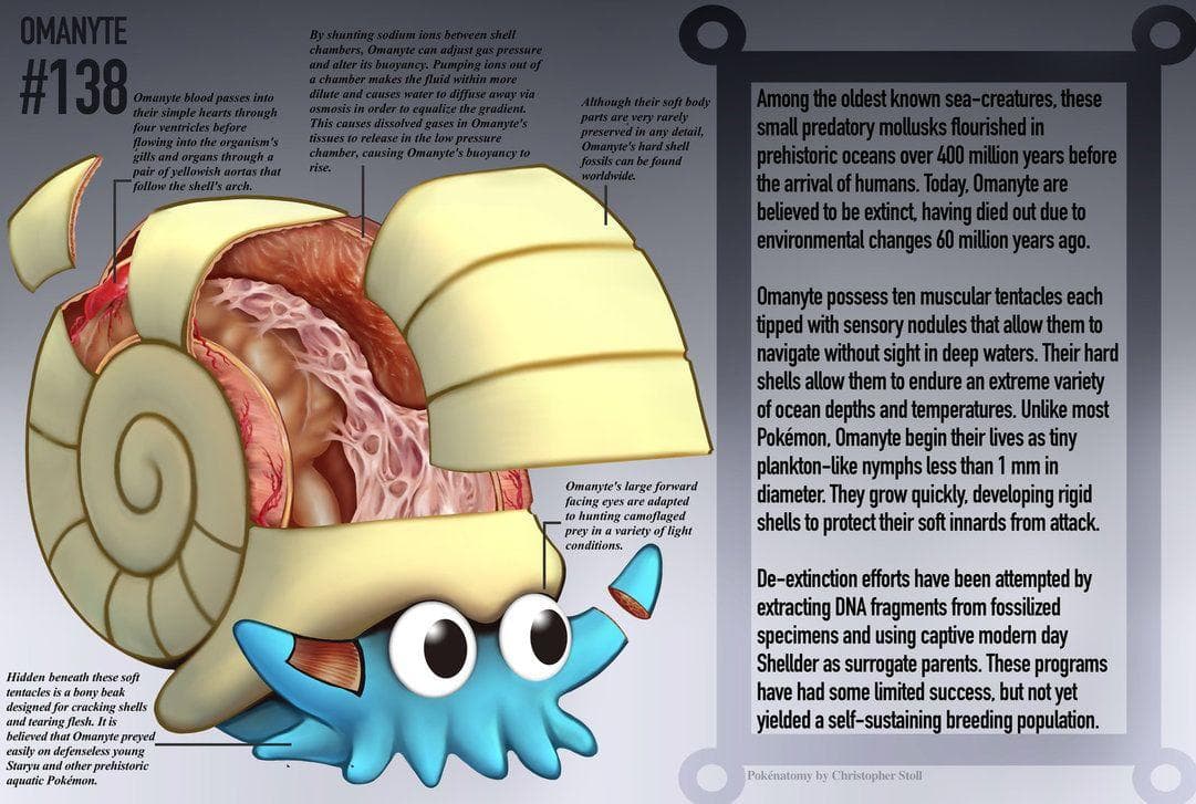25 Pieces of Pokemon Anatomy Fan Art